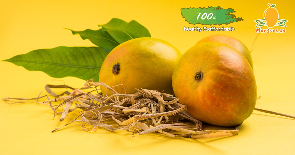 Shop Mango Gift Basket in UAE, Dubai, Sharjah, Ajman & Abu Dhabi