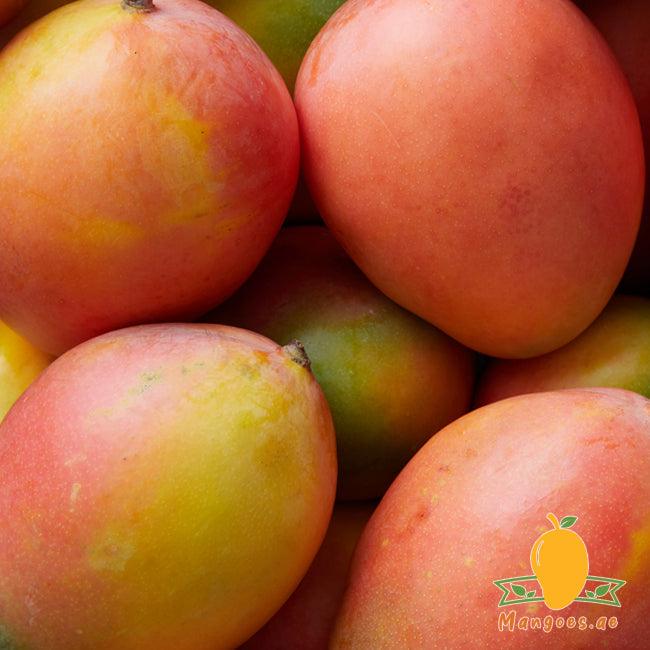 Shop Keitt Mangoes (Australia) in UAE, Dubai, Sharjah, Ajman, Abu Dhabi