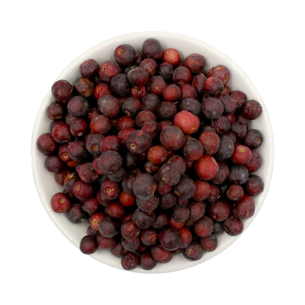 Shop Falsa Fruit - Grwia Asiatica in UAE, Dubai, Sharjah, Ajman, Abu Dhabi