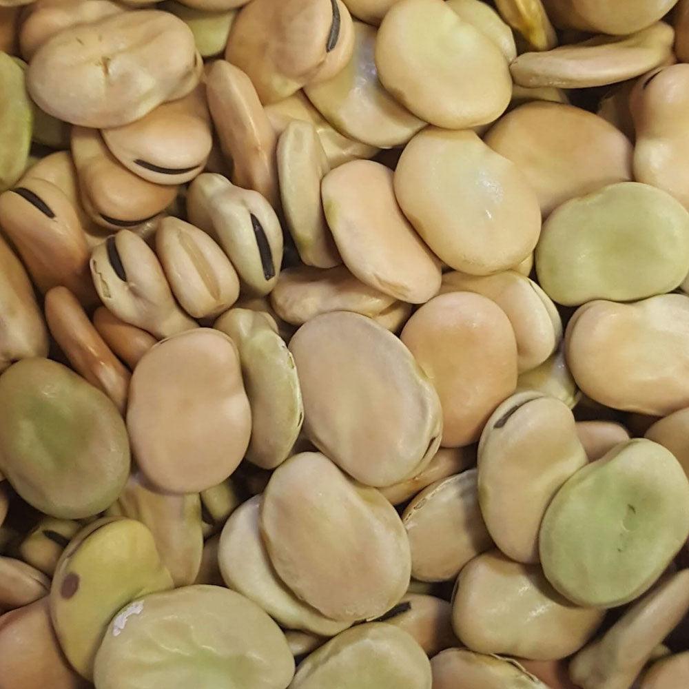 Shop Foul Bajalla (Dried Broad Beans) in UAE, Dubai, Sharjah, Ajman ...