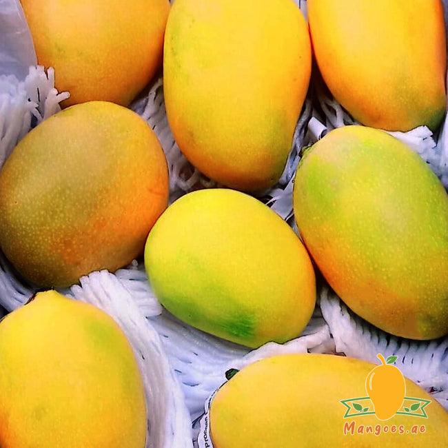 Shop Imam Pasand Mangoes (India) in UAE, Dubai, Sharjah, Ajman, Abu Dhabi