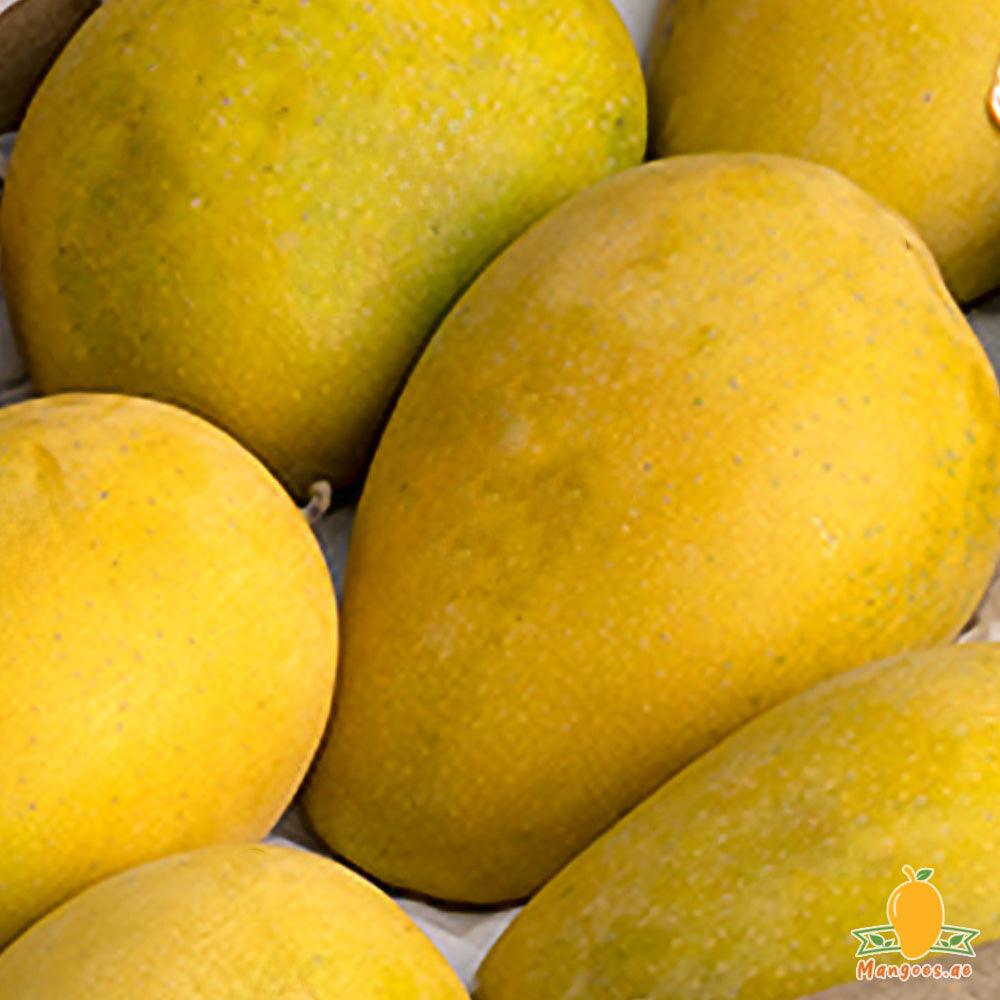 Shop Premium Quality Badami / Sunera Mangoes (Pakistan) in UAE, Dubai ...