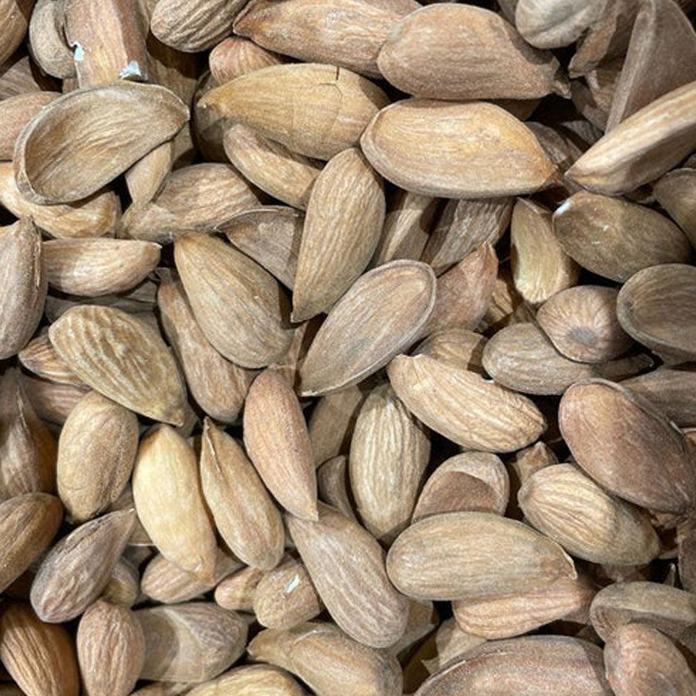 Shop Mamra Almonds in UAE, Dubai, Sharjah, Ajman, Abu Dhabi
