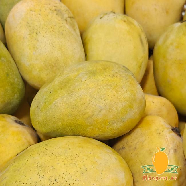 Shop Anwar Ratol Mangoes (Pakistan) in UAE, Dubai, Sharjah, Ajman, Abu ...