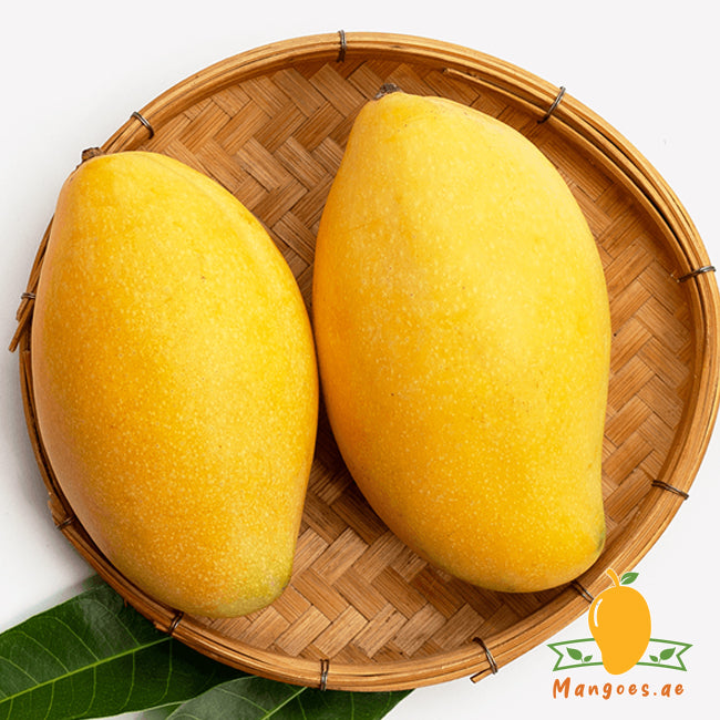 Shop White Chaunsa Mangoes (Pakistan) in UAE, Dubai, Sharjah, Ajman ...