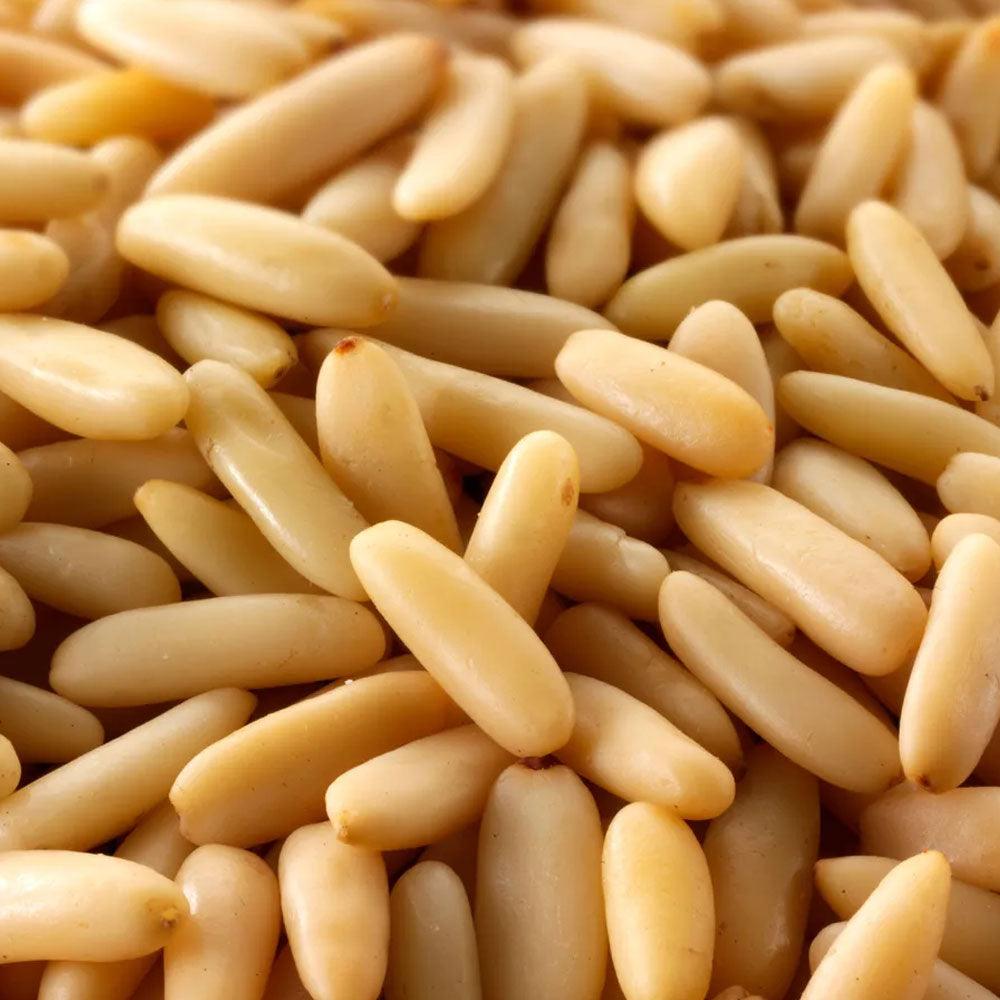Shop Pine Seeds in UAE, Dubai, Sharjah, Ajman, Abu Dhabi